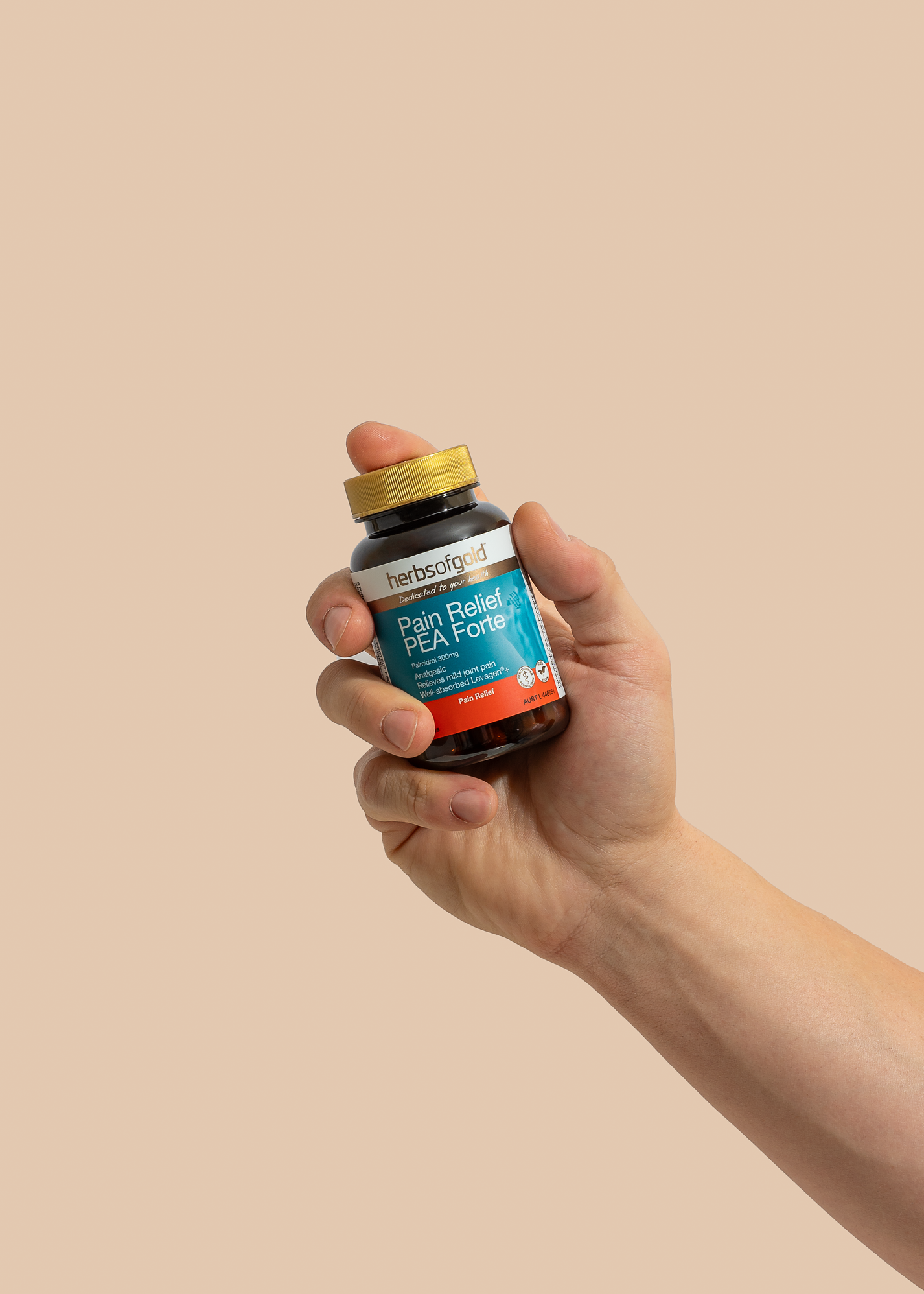 Pain Relief PEA Forte – Herbs of Gold