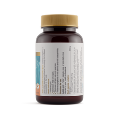 Pain Relief PEA Forte – Herbs of Gold